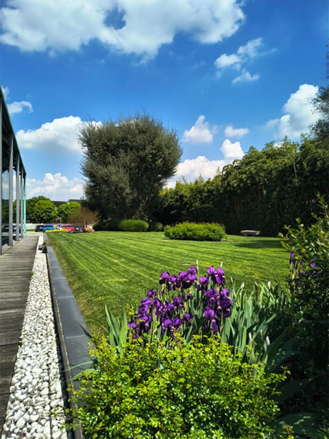 Sostenibilidad - ZMC Italy